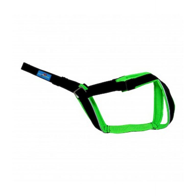 Inlandsis Open Back - Dog harness