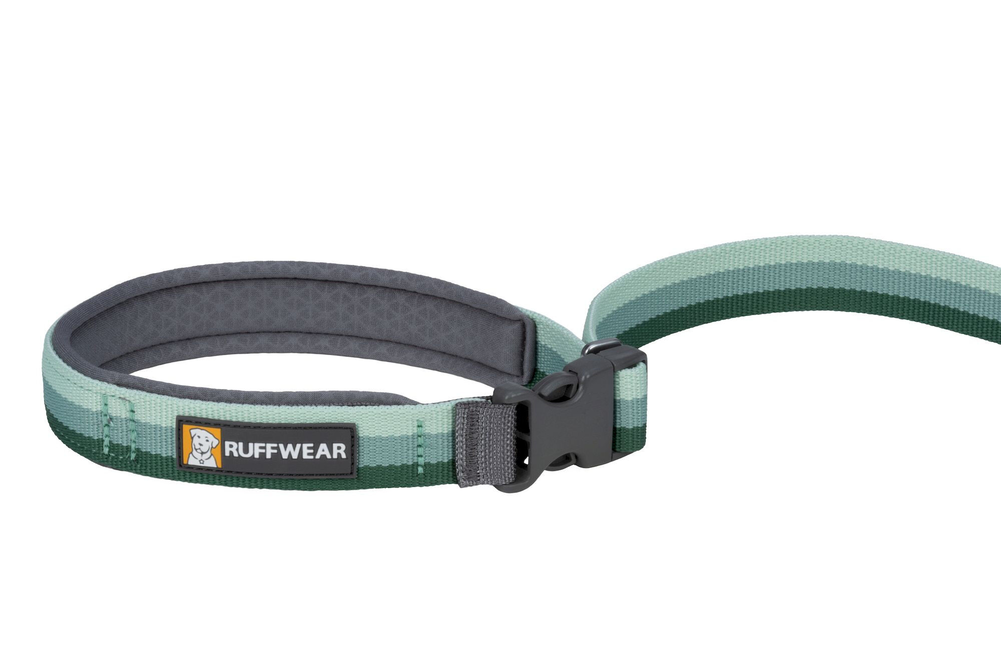 Roamer Leash Dog leash