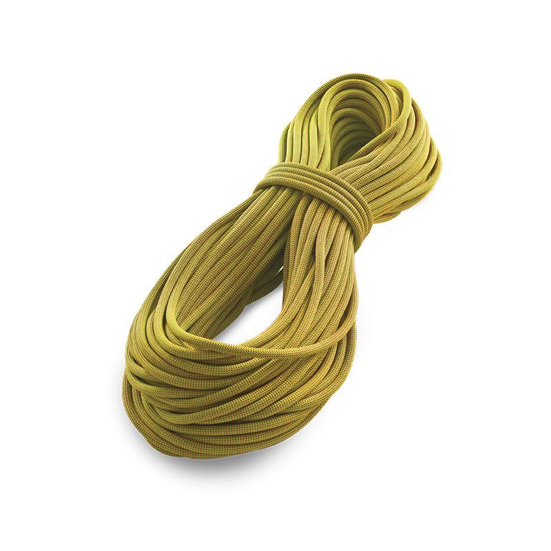 Tendon Master 8.9 Complete Shield - Kletterseil