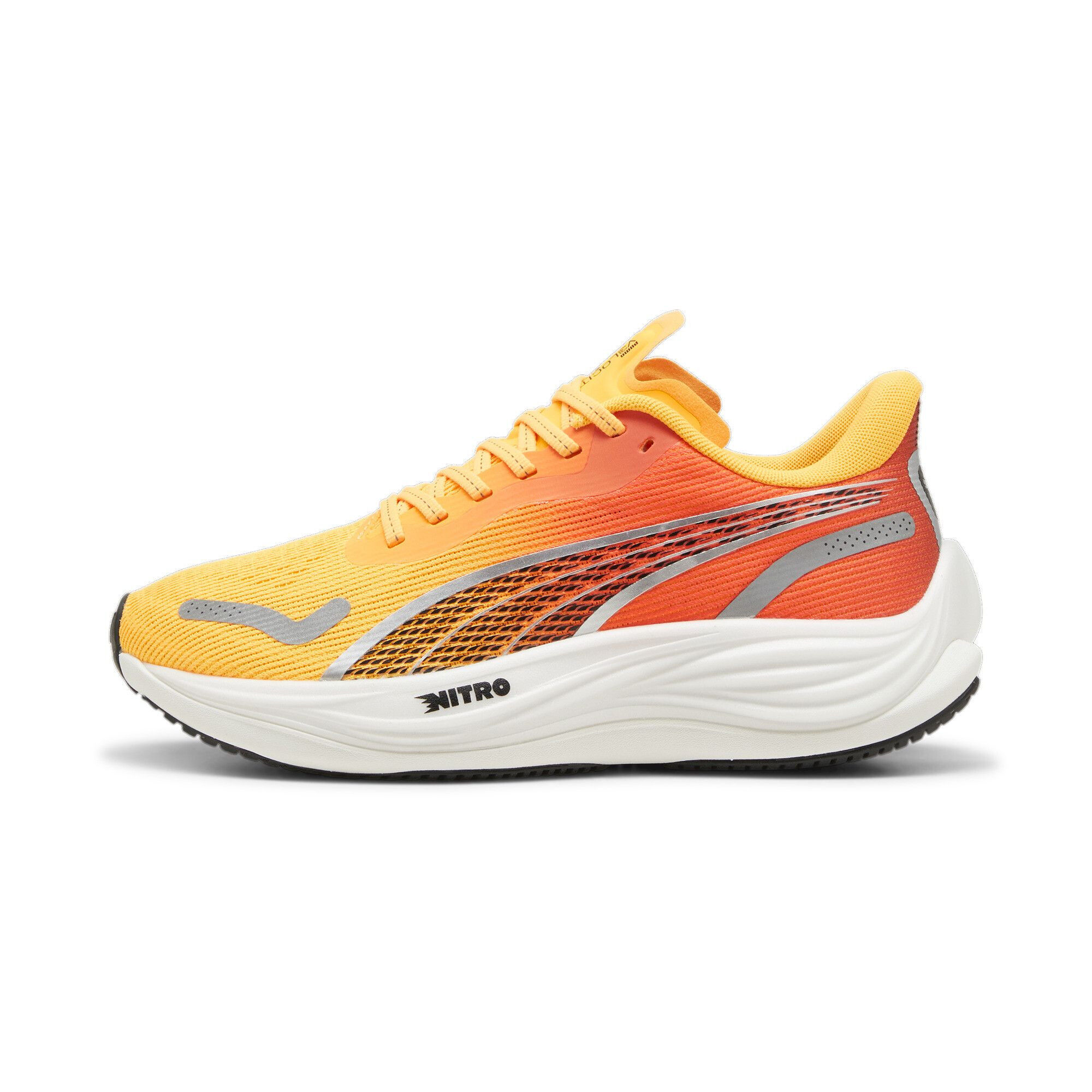 Velocity Nitro 3 Fade Wns Running shoes Women s