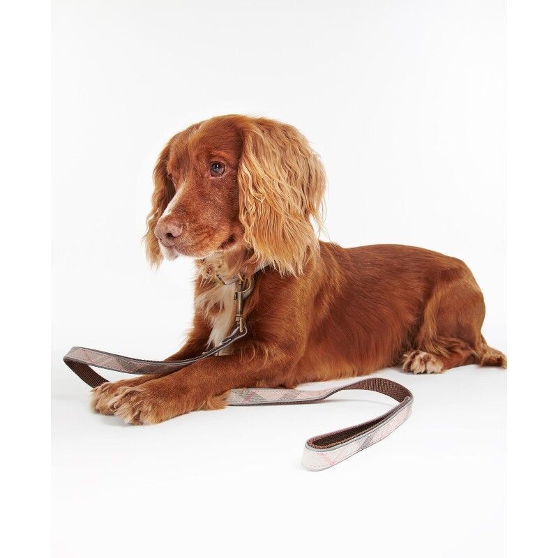 Reflective Tartan Dog Lead Hundeleine