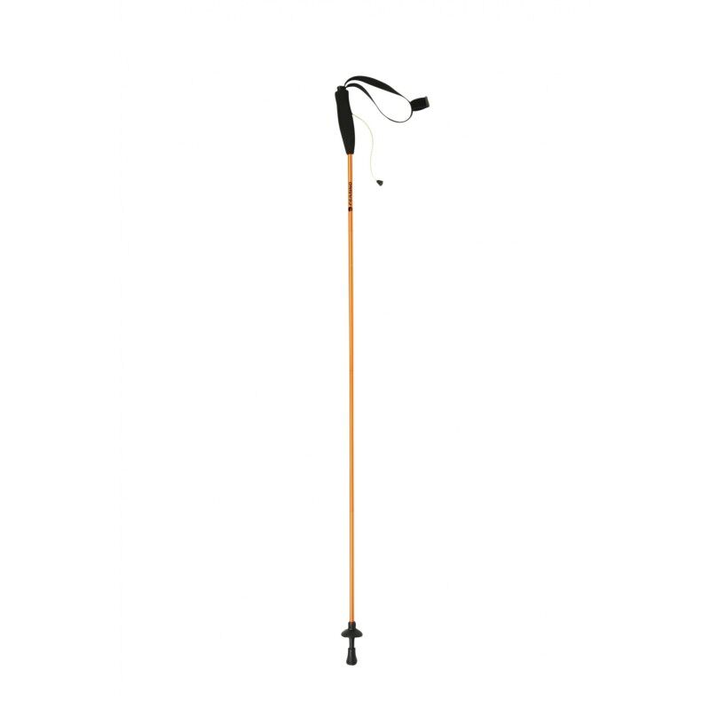 Ferrino Stick Eiger - Laufstöcke | Hardloop
